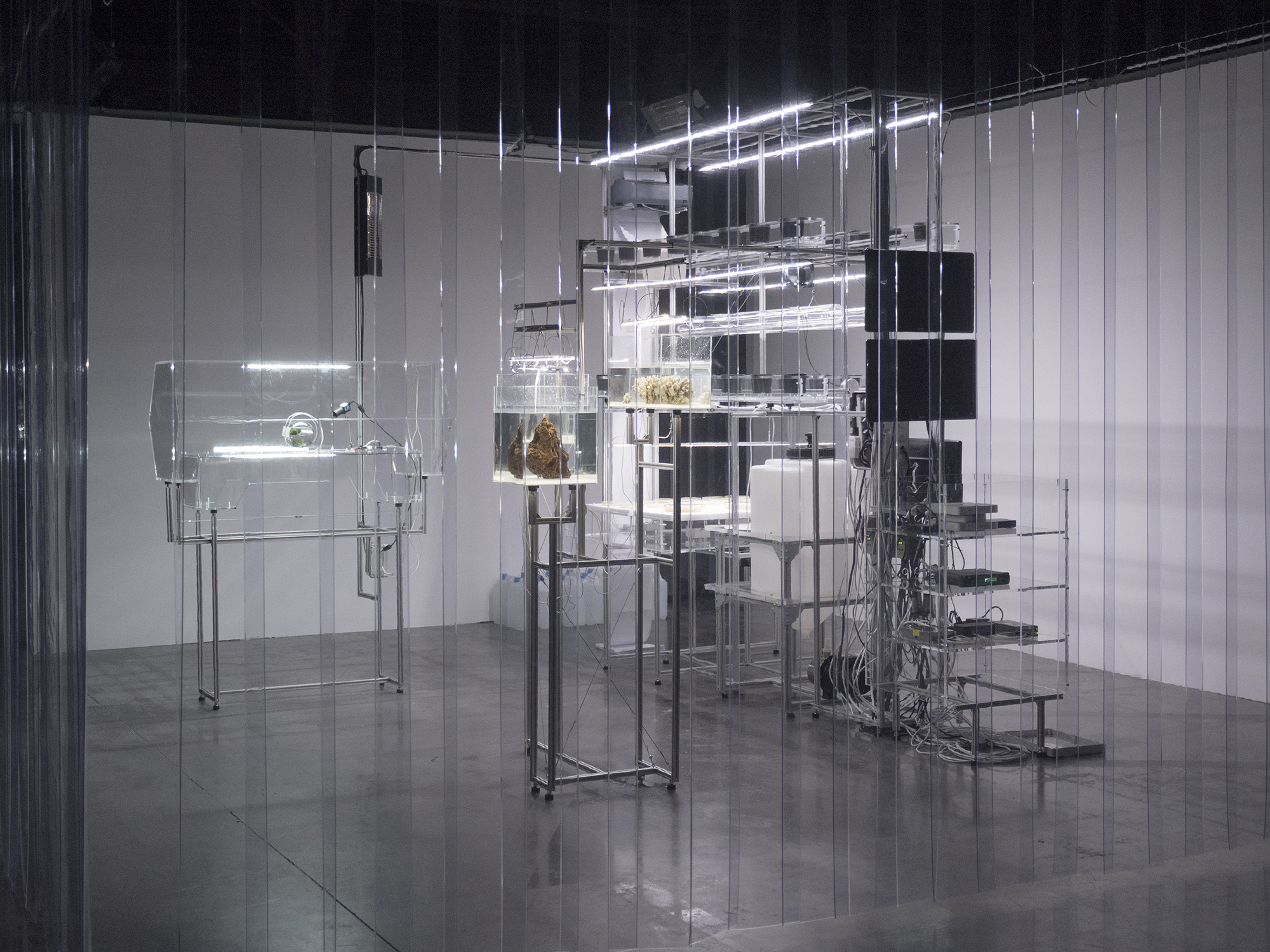 DI VENOSA Elsa - Repères numériques